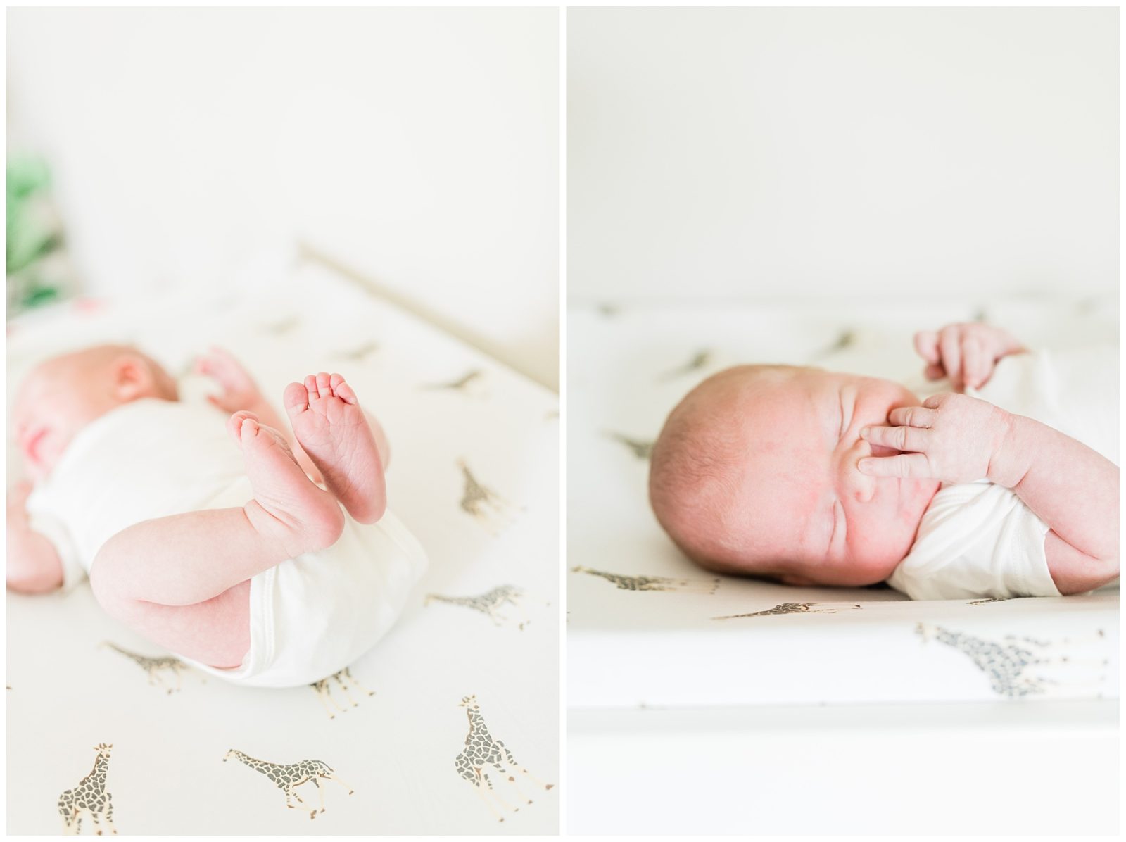 Baby Tyler - whitneygremaud.com